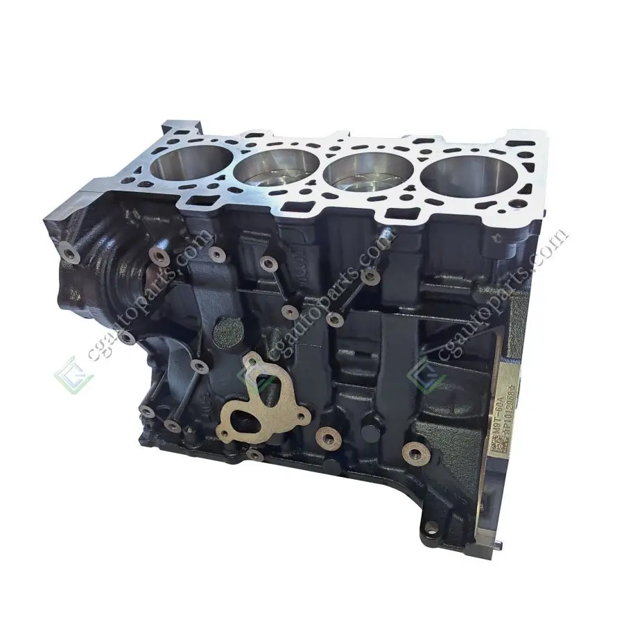 Newpars M9T Engine Assembly Short Block for Dongfeng Renault Nissan