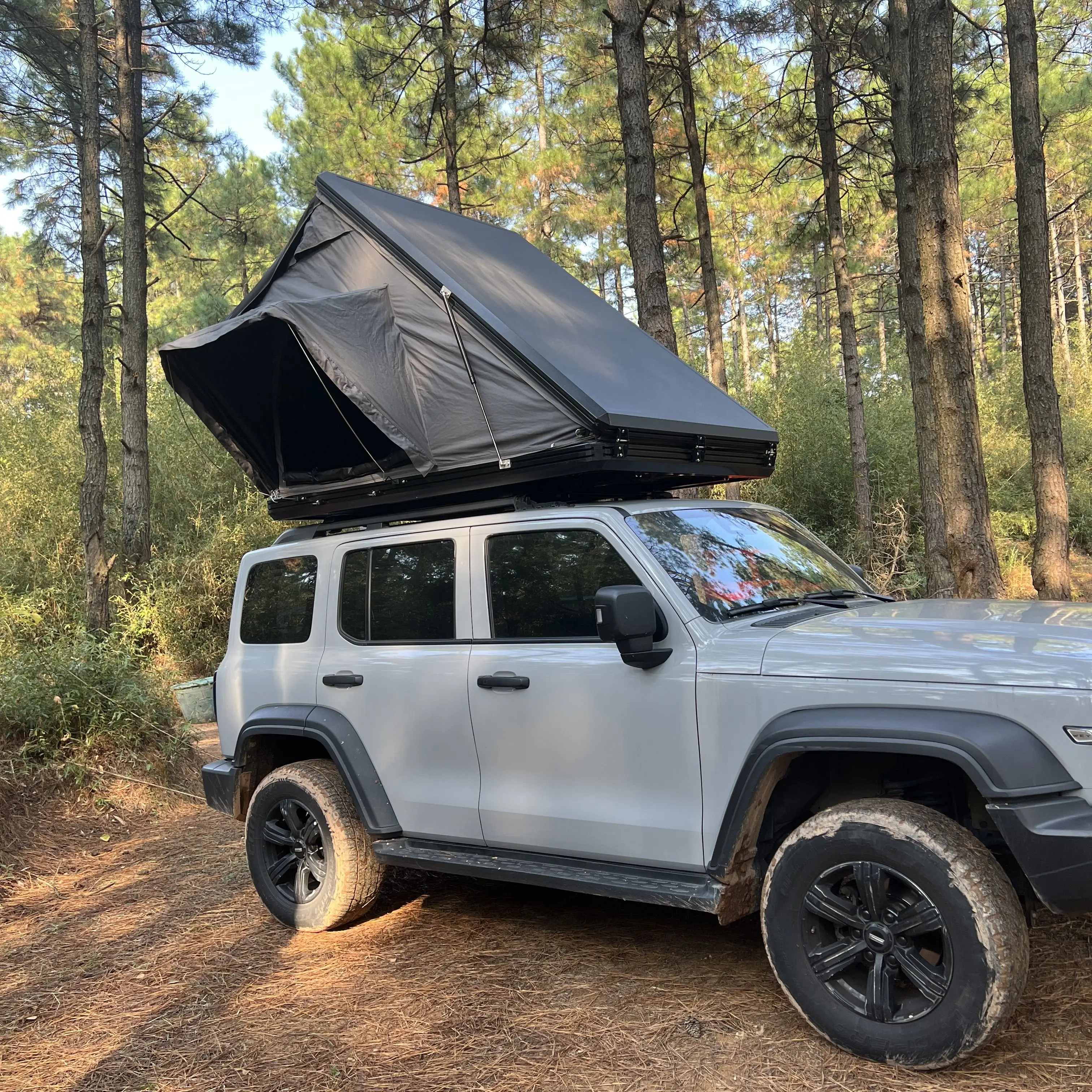 Aluminum Hard Shell Roof Top Tent With Roof Big Space Triangle Shape ...