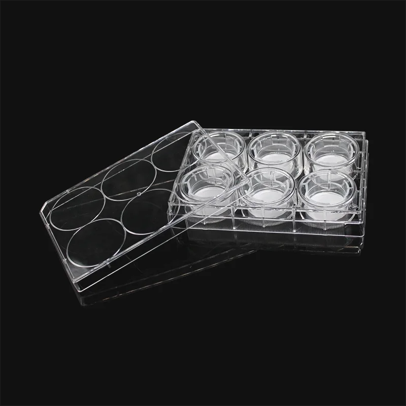 Pc Membrane Cell Culture Inserts Transwell For 24-well Plates - Buy 24 ...
