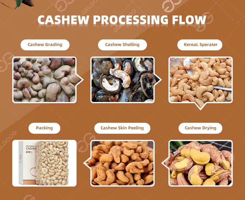 Automatic Cashew Nut Shell Peeling Production Line Cashew Processing Machine| Alibaba.com