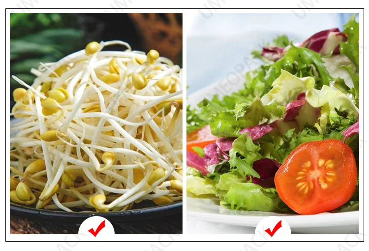 Automatic Bean Sprout Fruit And Fresh Sliced Leafy Vegetables Salad ...