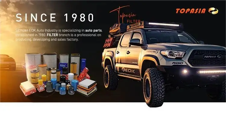 Topasia Radiator Cooling Fan Electronic Fan Assembly 17427562080 ...