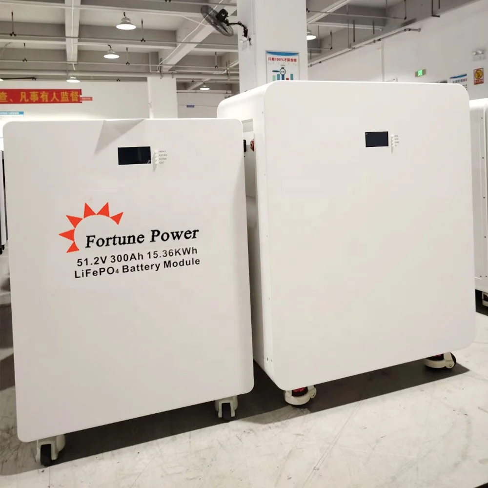 Fortune Power Factory 51.2V 300Ah 15kWh Home Solar Battery Bank 15kWh ...