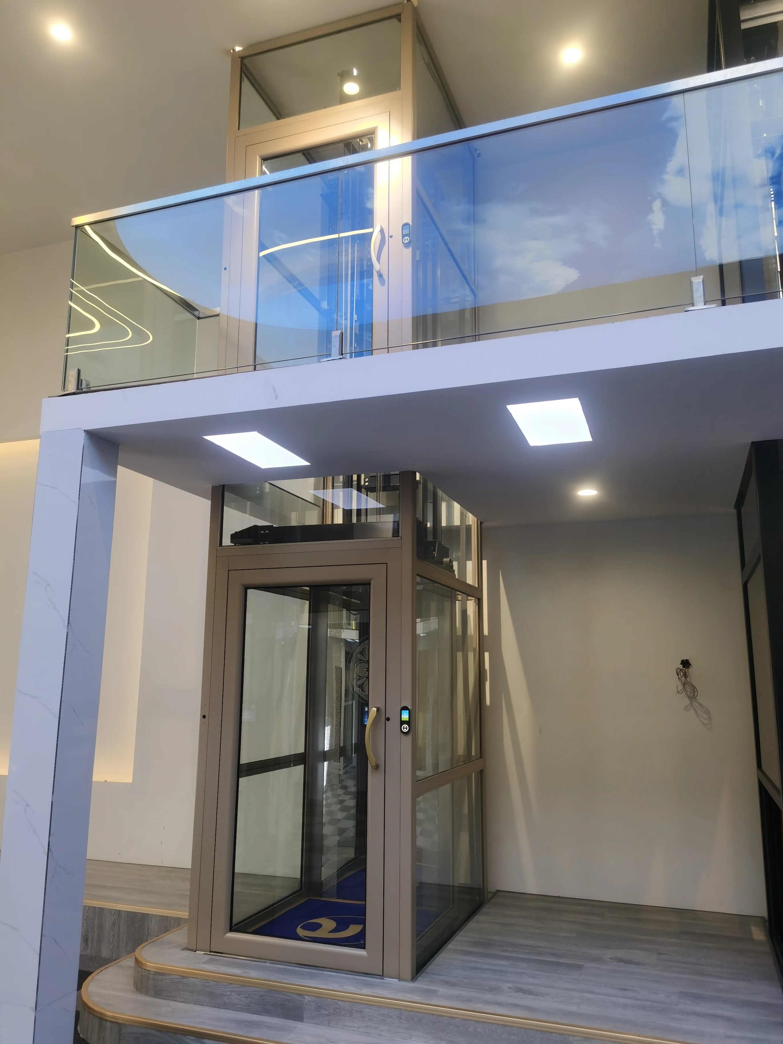 Modern Design Passenger Elevator for Villas & Hotels