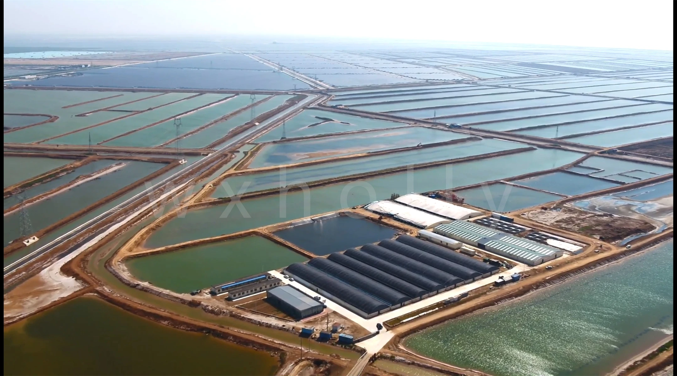 Fish Grader - Efficient Sorting for Fish Farming Ponds