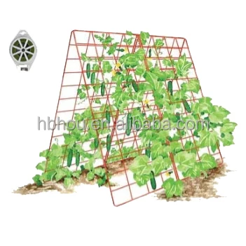 Cucumber Rack Vegetable Garden Support Planting Bean Rack Grape ...