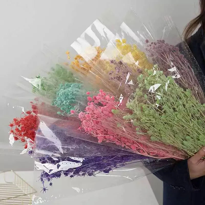 Summerflora Wholesale Preserved Lover Fruit Eryngium Most Beautiful ...