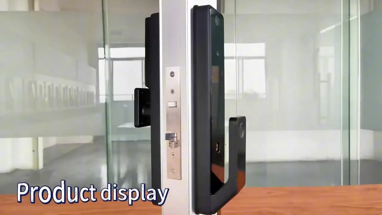 Digital Biometric Fingerprint Push Pull Smart Lock Ic Card Password ...