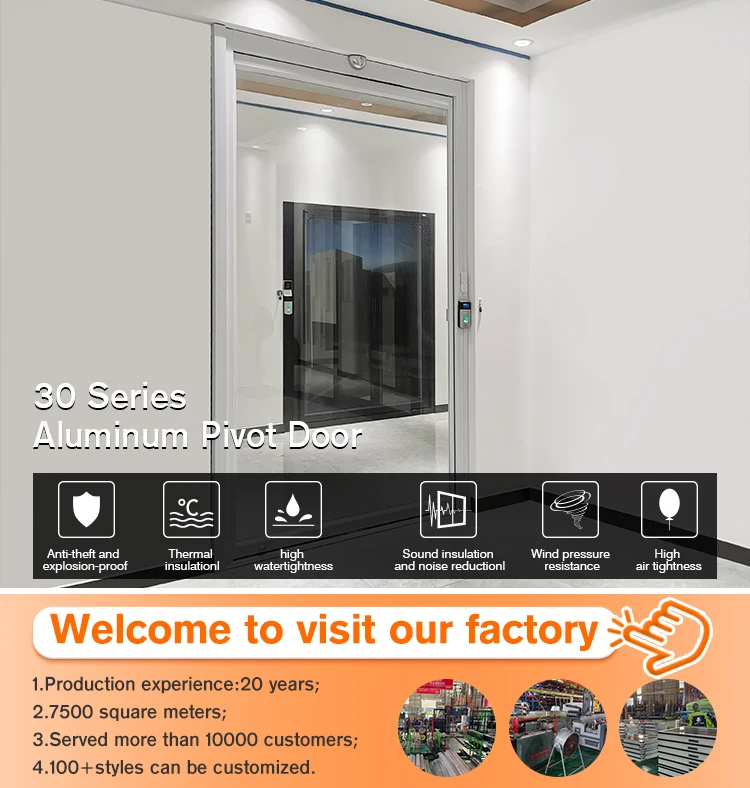 Aluminum Glass Pivot Door Interior Office Glass Partition Profiles Slim ...
