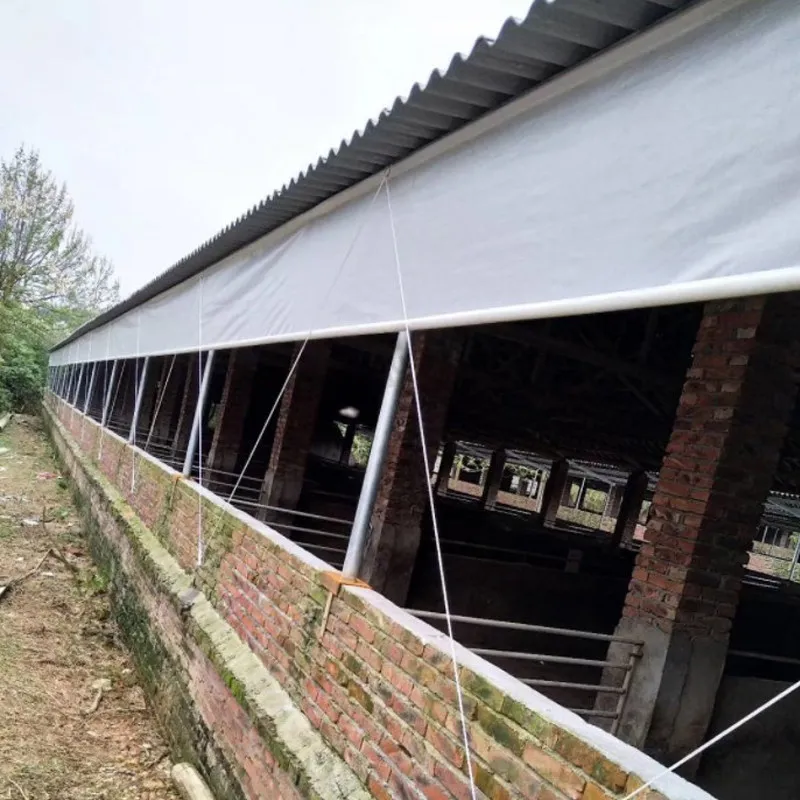 Lvju Transparent PE Chicken Poultry House Curtain