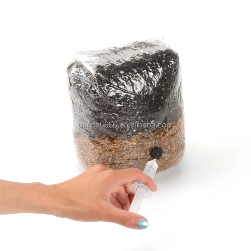 Spawn Mushroom Grow Bags with Injection Port Rye & Compost Kit
