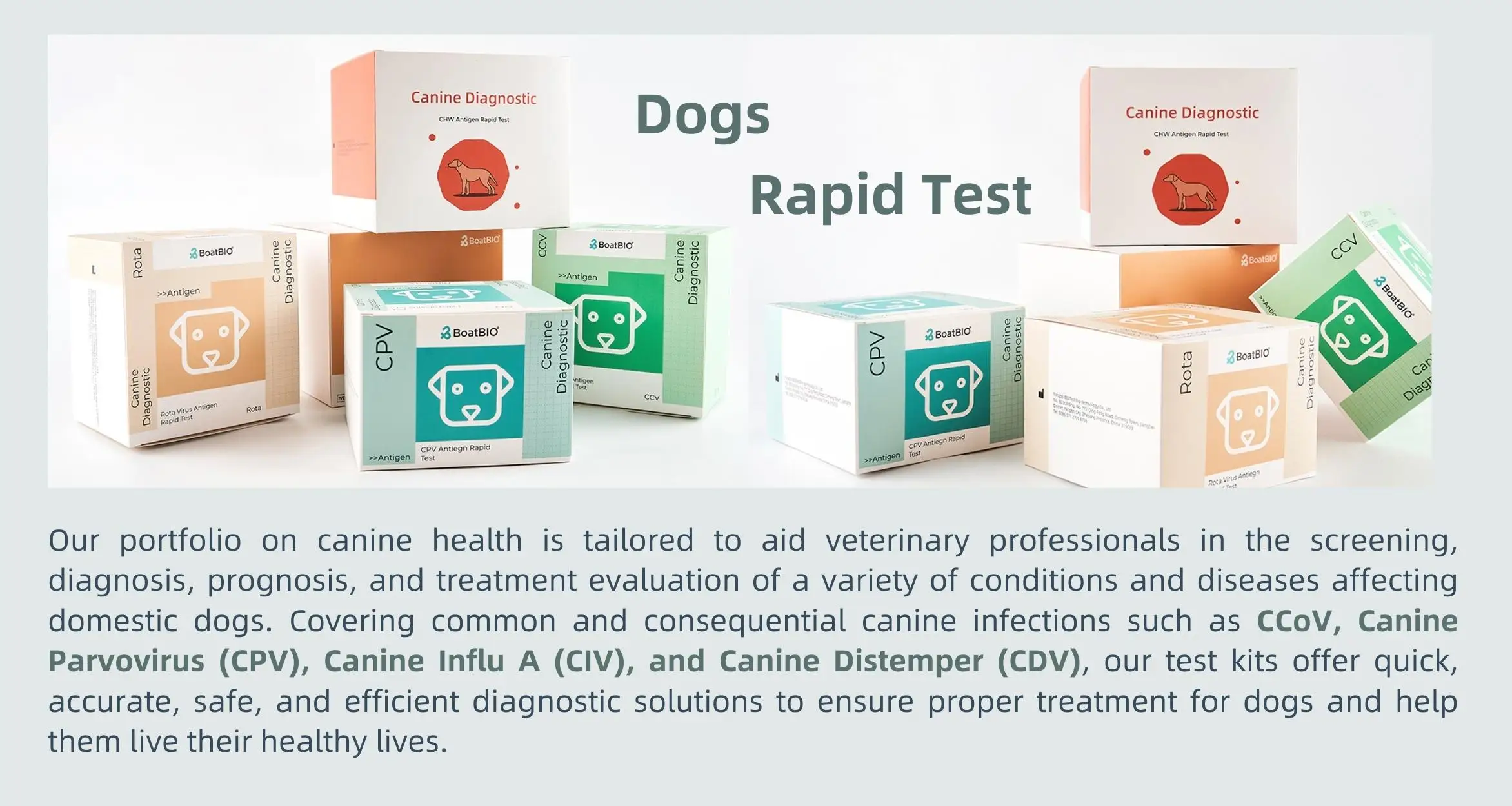 Ce Certified Accurate Dog Disease Test Pet Health Canine Rotavirus Ag ...