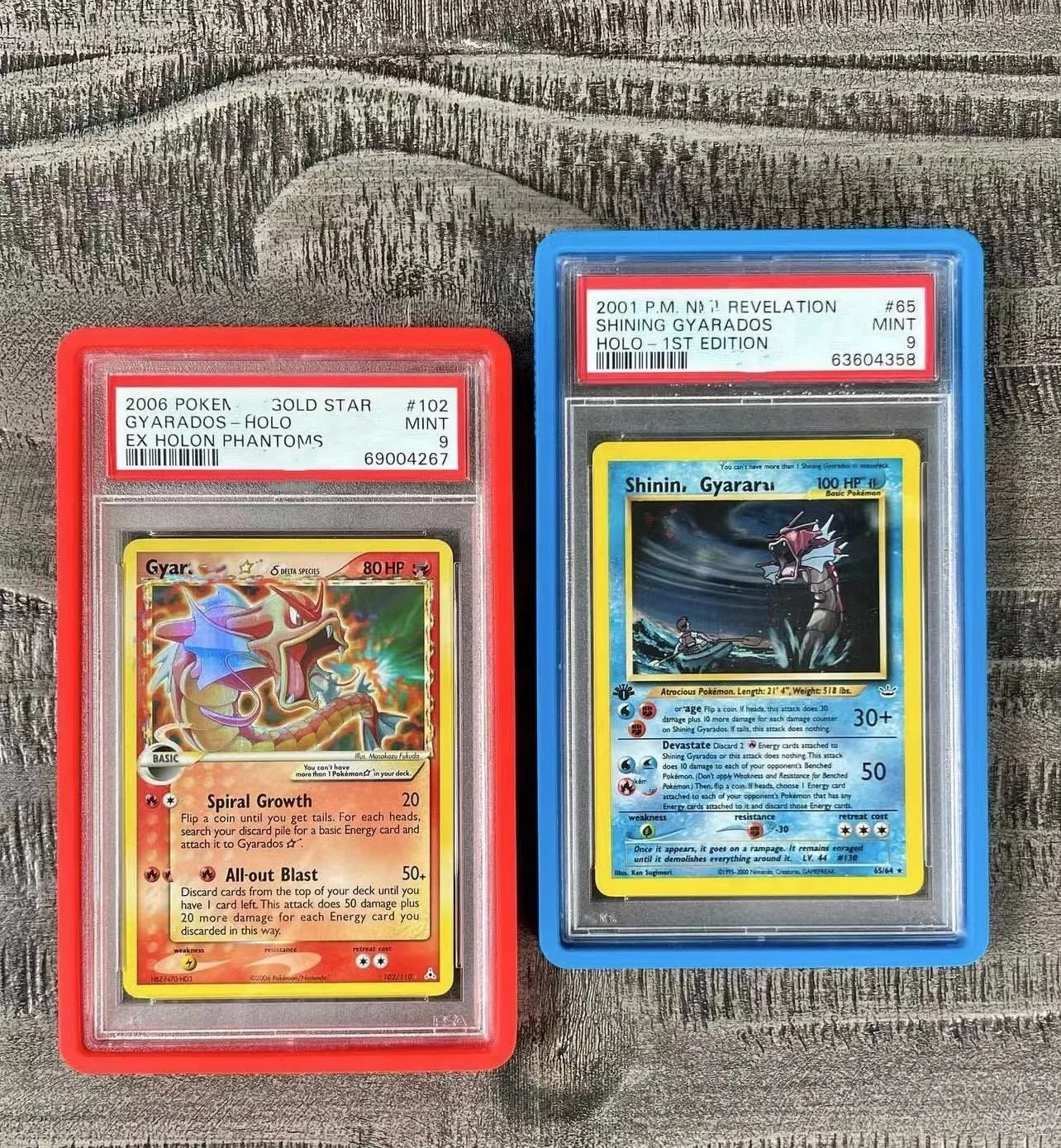 Leshiny Color Graded Card Slab Protectors Graded Card Slab Bumper ...