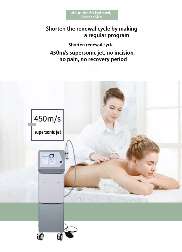 2024 Newest Portable Non-invasive Facial Wrinkle Remover Deep Hydration Non-invasive Transdermal ...