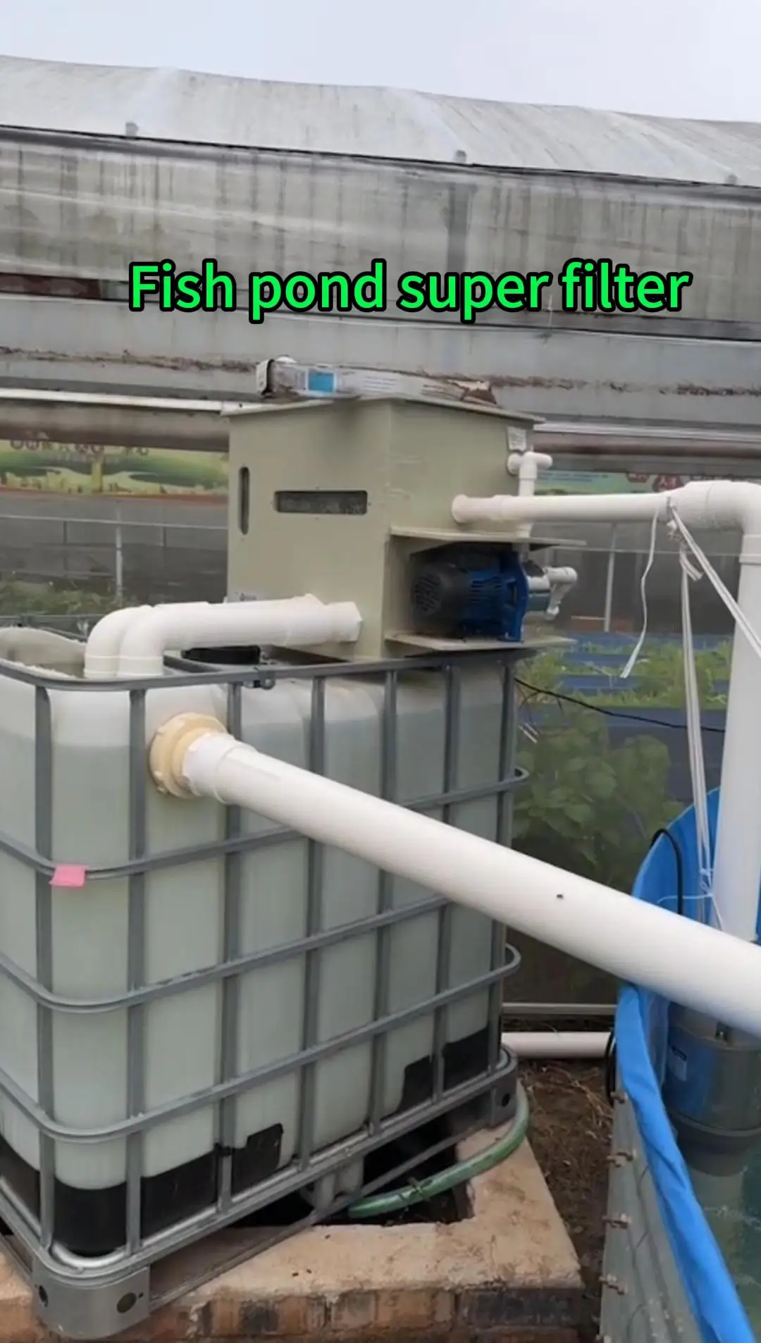 Recirculating Aquaculture System - Efficient Fish Farming