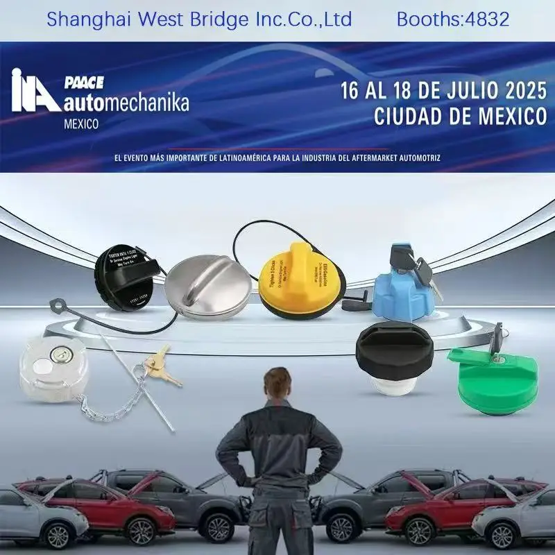 16117222391 Fuel tank Cap for BMW F20 F30 E90 F10 F07 E60 E65 E66 F01 ...