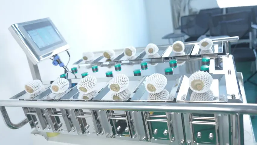 Manual Crushed Vegetable Fresh Vegetables And Fruits Weigher,Multi Head ...