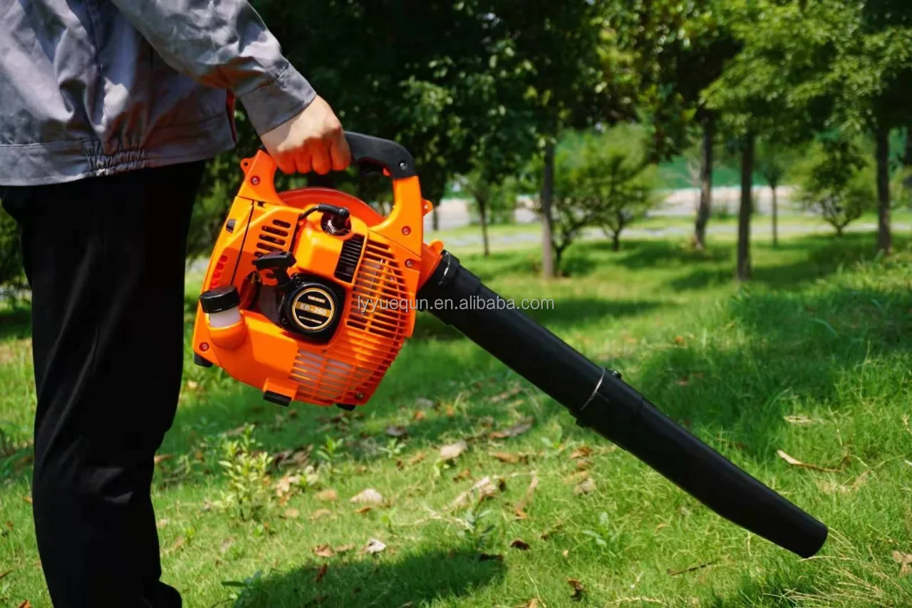 Hot Sale Portable Gasoline Blower Petrol Engine Leaf Blower Eb260 - Buy ...