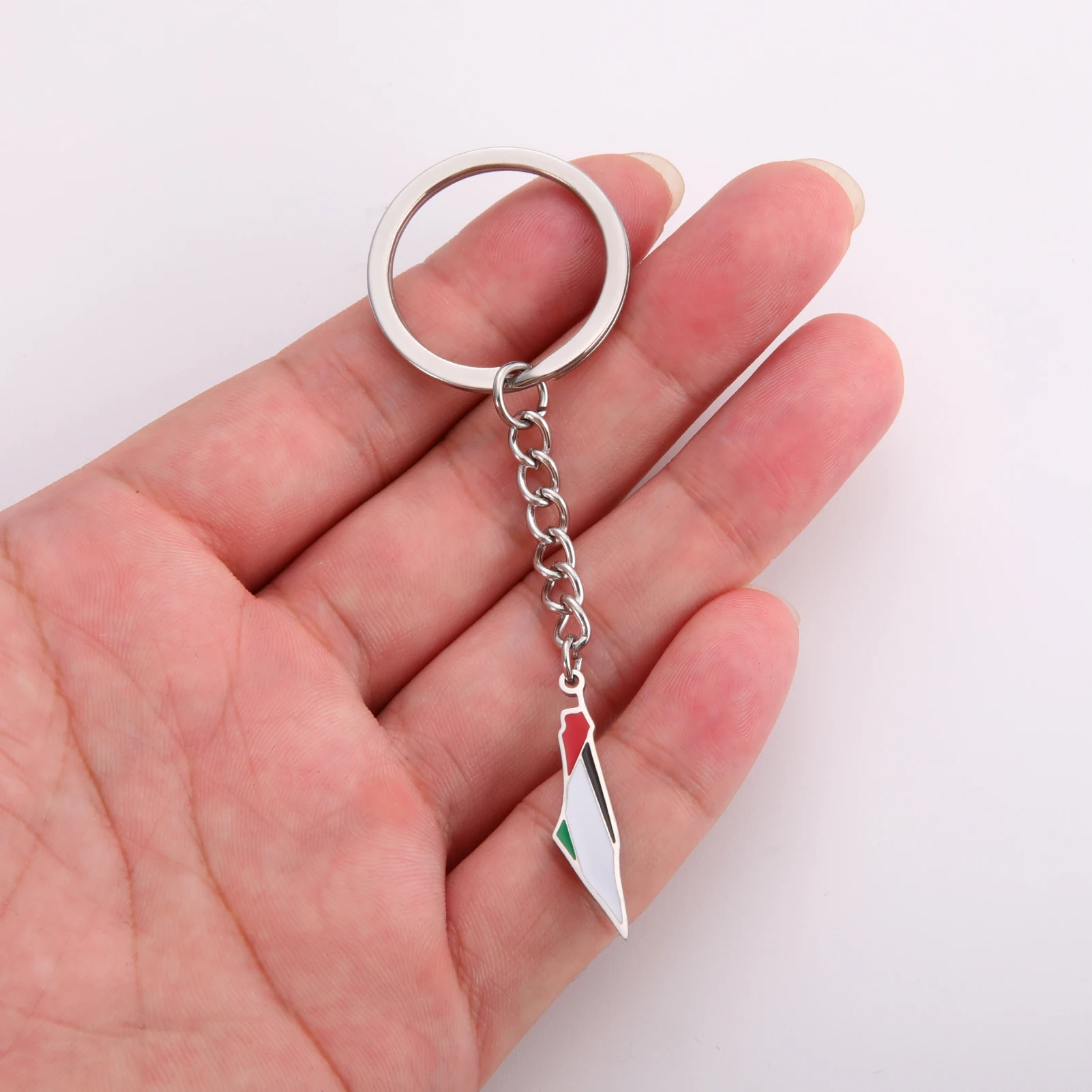 Palestine Stainless Steel Key Chain Country Flag and Geography Key Ring ...