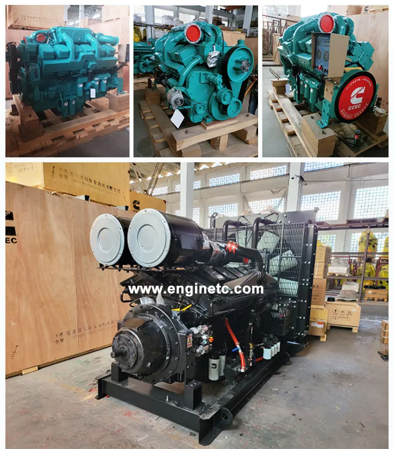 Original For Cummins Diesel Engine Nt855 Pt Fuel Pump Oem 4913591 ...