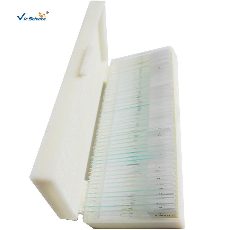 histology epithilial tissue laboratory microscope glass slides 50pcs ...