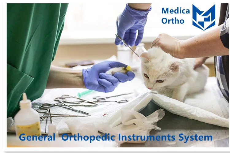 Surgical General Orthopedic Stainless Steel Instruments Double Head ...