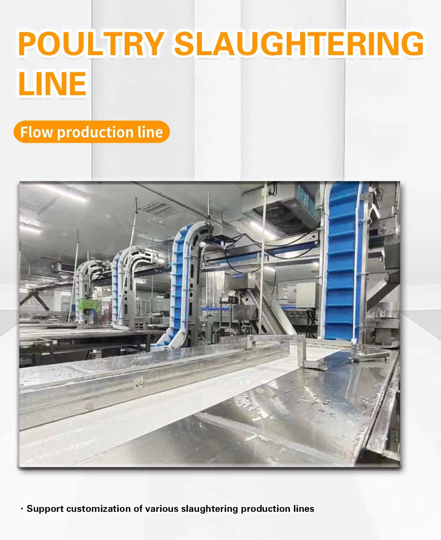 Automatic Chicken Poultry Slaughtering Automatic Production Line For ...