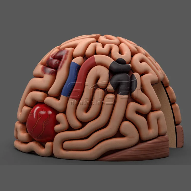 Custom Inflatable Medical Brain Props - Singar Quality
