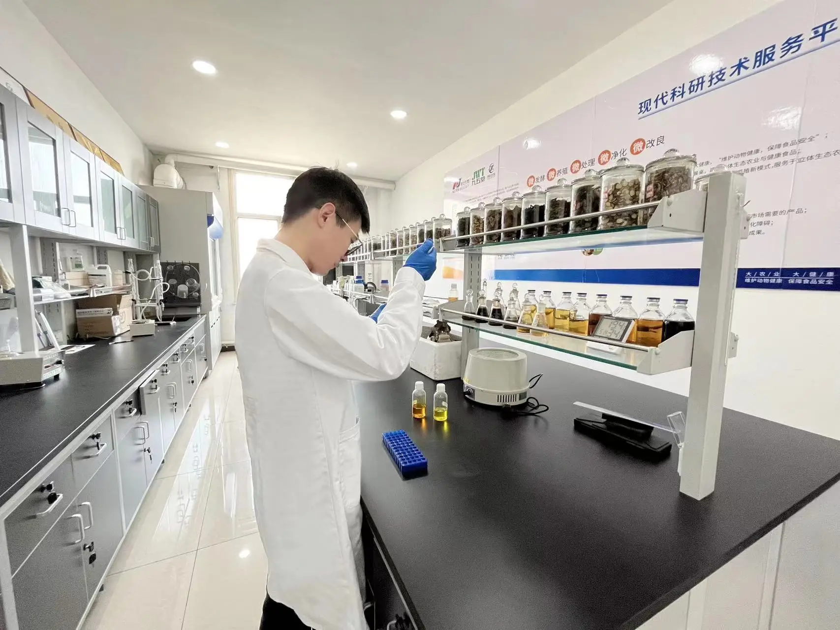 Broiler Booster Growth Promoter Chicken Growth Promoters for Poultry ...