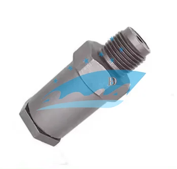 Pressure Relief Valve 1110010035 Fuel Pressure Relief Valve For Man Tga ...