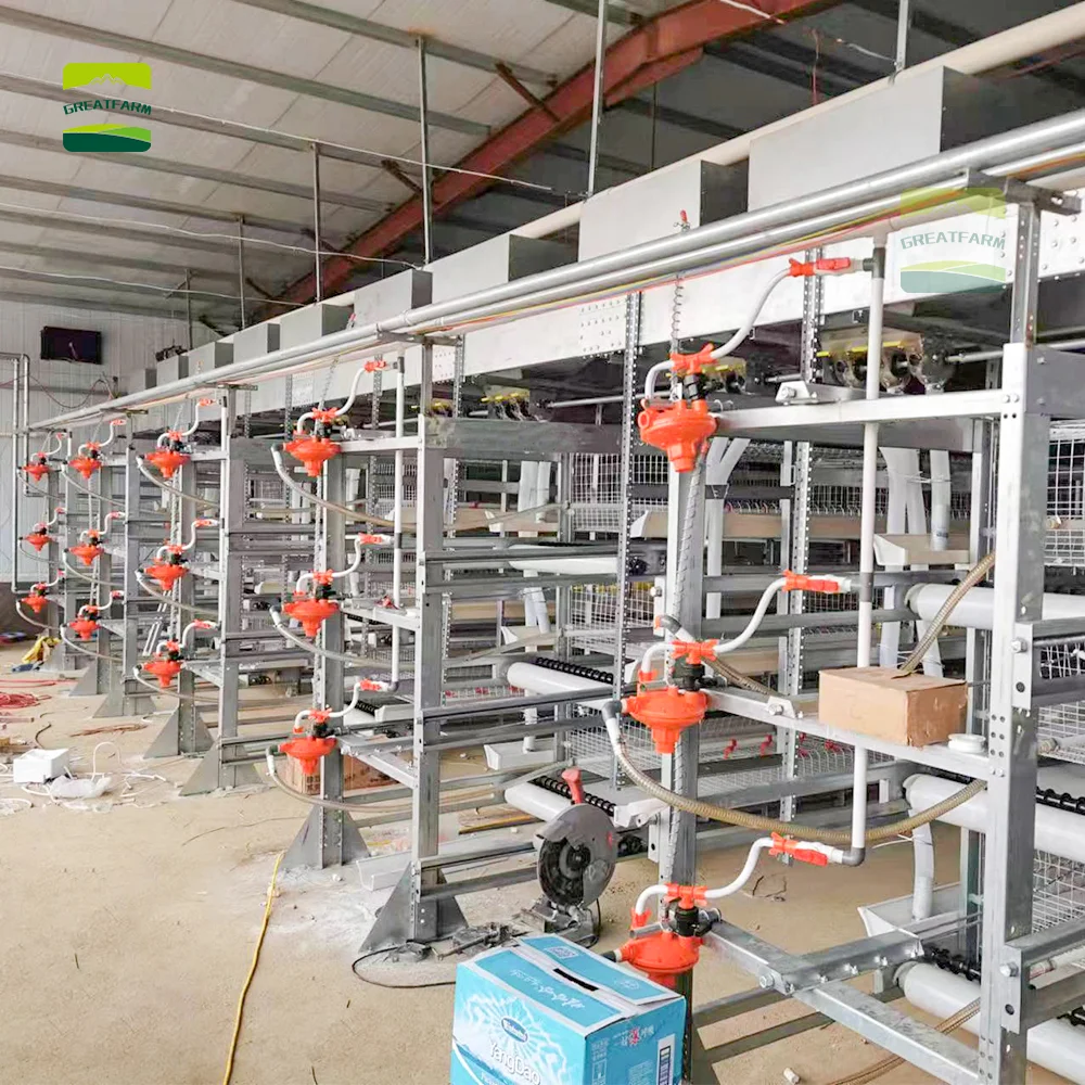 GREAT FARM H Type Layer Chicken Cage - Durable & Efficient