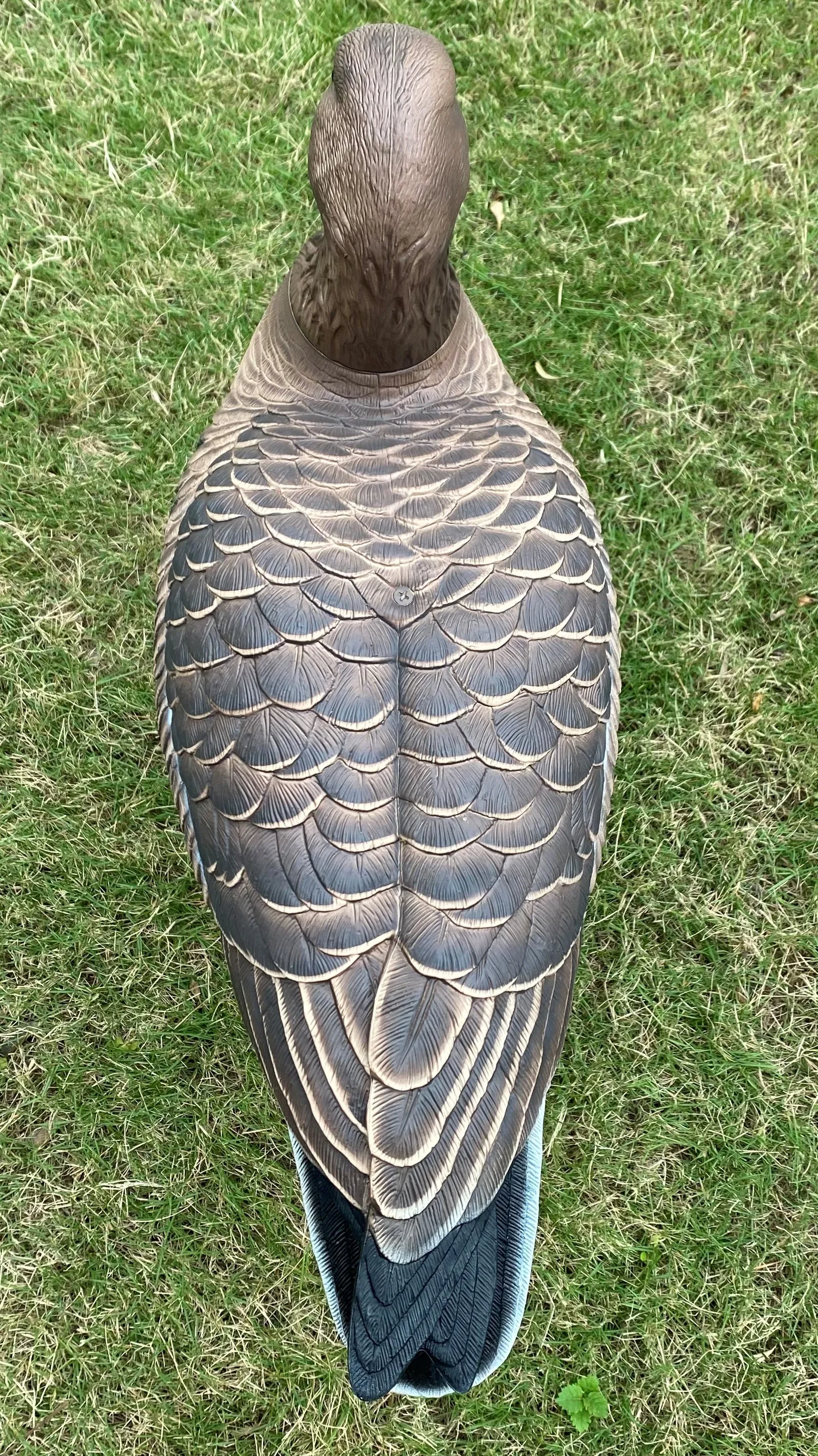 Goose Silhouette Decoys TCDesignerProducts, Specklebelly Geese ...