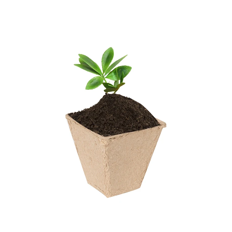 Peat Seed Starter Tray Plant Pots For Seedlings Paper Pulp Germination ...