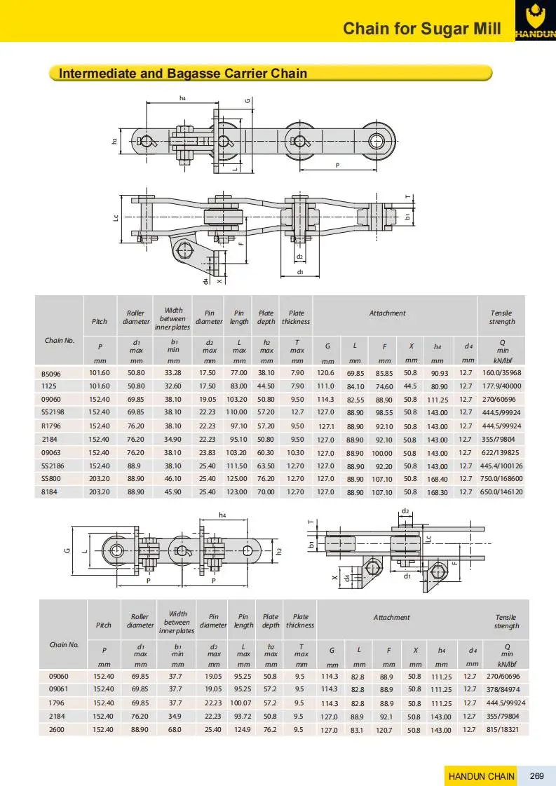 Intermediate and Bagasse Carrier Chains with Cranked Link