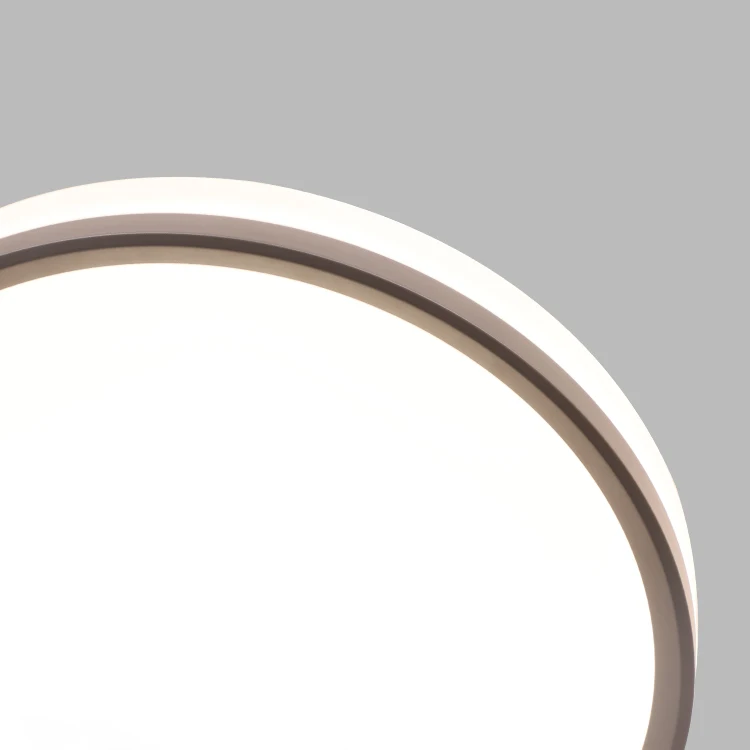 Dimmable Ceiling Lamp Northern Europe Aluminum Round Led Ceiling Light ...