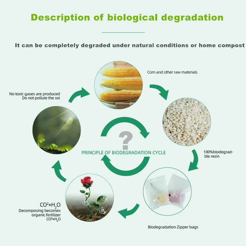 Eco-friendly Custom Poly Shipping Bags - Biodegradable