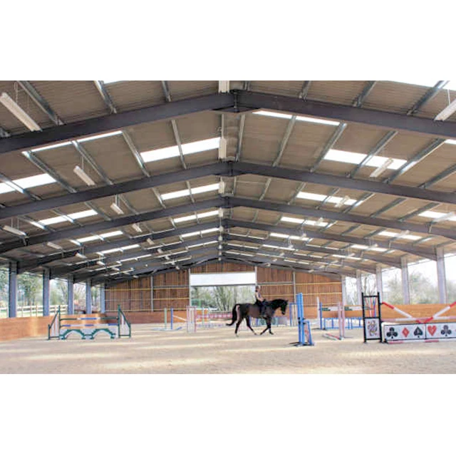 Prefab Indoor Metal Free Span Light Steel Structure Frame