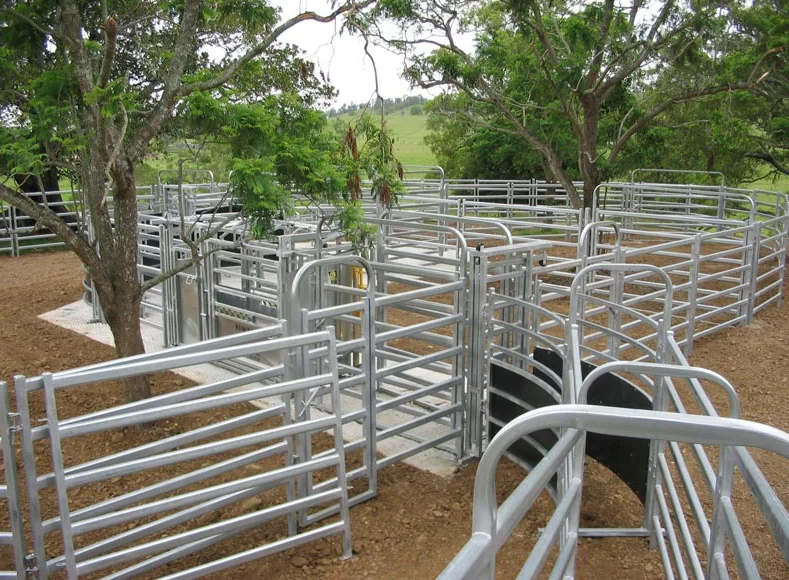 Round Pen Horse Corral Panels Livestock Cattle Panels Field Livestock ...
