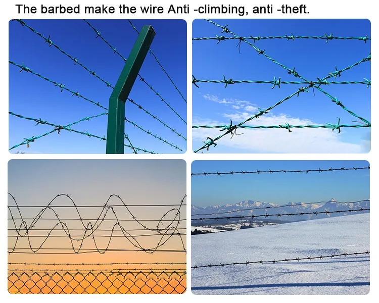 Hot Dipped Galvanized Pvc Stainless Steel Barbed Wire Fencing Wire ...