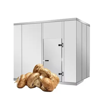 Cold Room For Mushroom Grow Freezer Container Storage Chilled Cool Room ...
