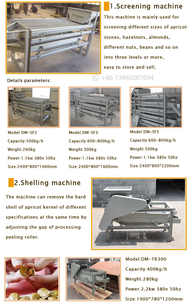 Palm Kernel Nut Hazelnut Cracking Machine Apricot Kernel Shell ...