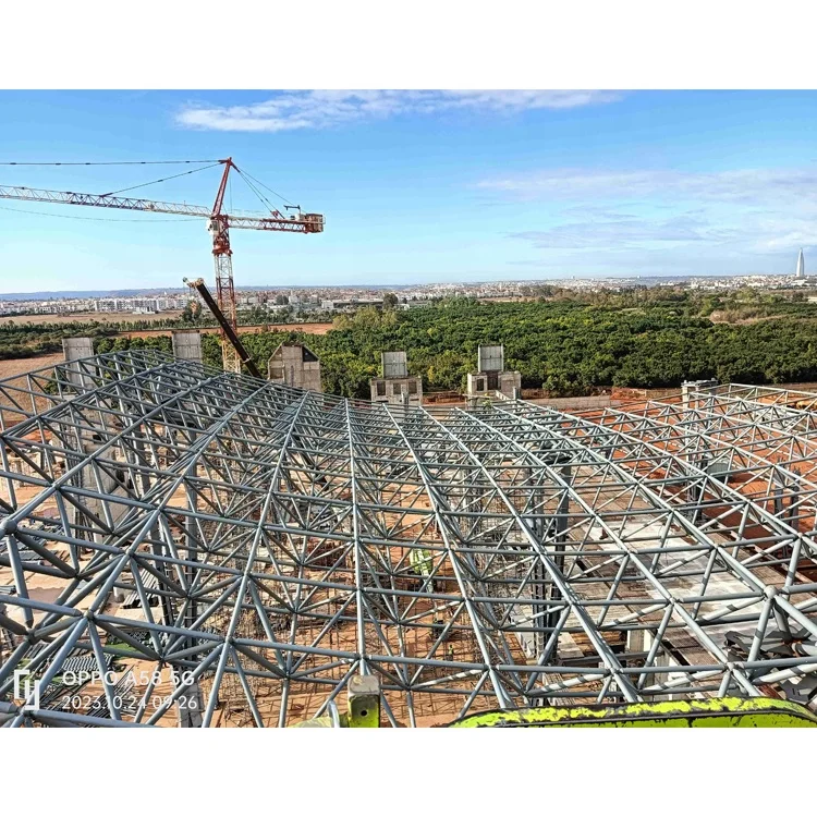 Space Frame Truss Structure Roofing Steel Structure Architecture ...