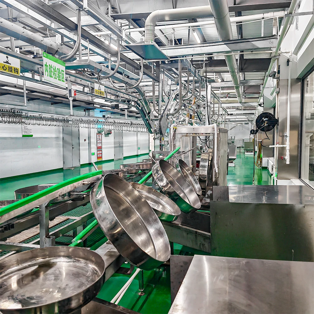 Alibaba.com: Automatic cattle slaughter equipment, CE/BV/ISO certified, for beef abattoir line ...