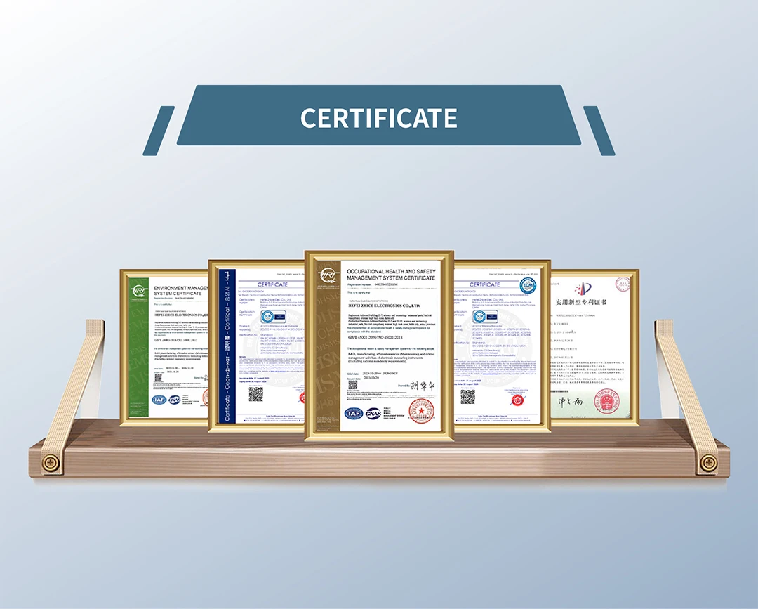 Autoclave Data Logger - Precision Temperature & Pressure Measurement