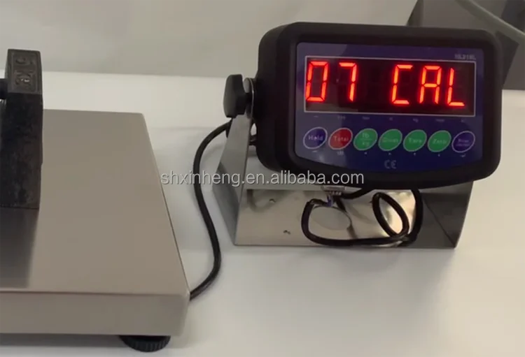 300kg Movable Floor Scale Portable Platform Weight Scale With Wheels ...