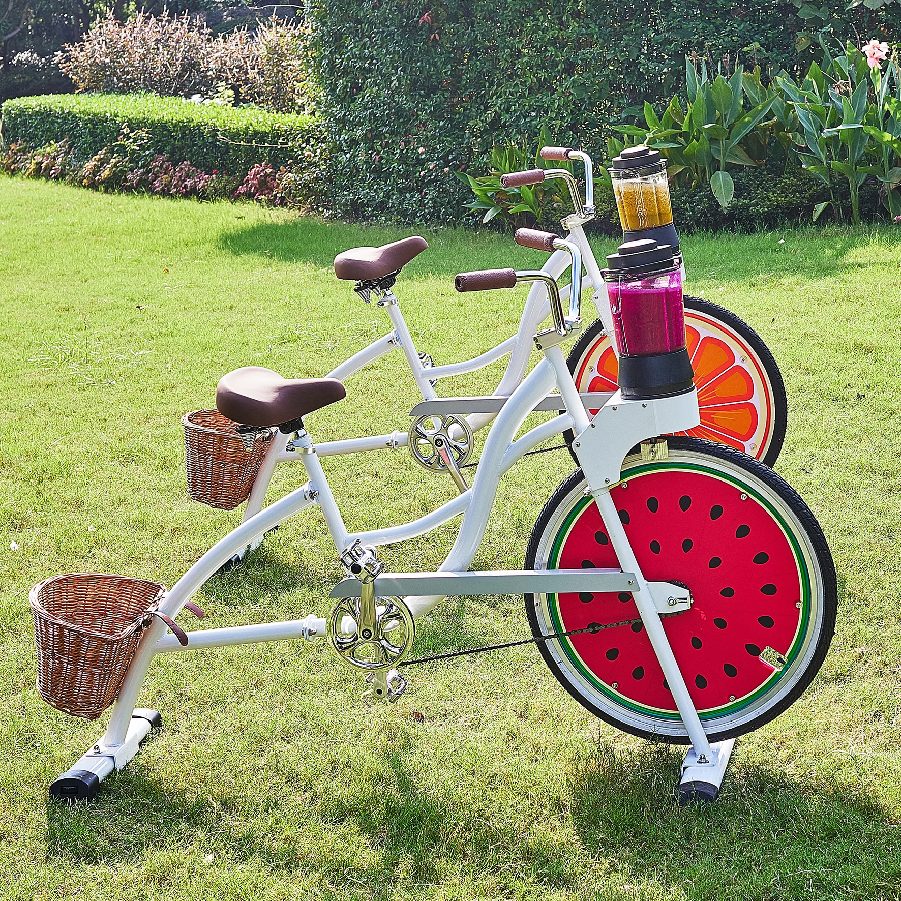 EXI Commercial Smoothie Blender Bike – Aluminum Frame, 150 kg Load ...