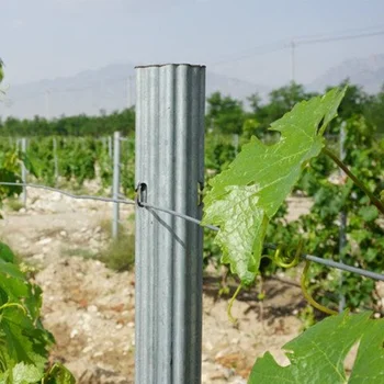 Trellis End Post Assembly Designs For Vineyards Steel Line Stakes For ...