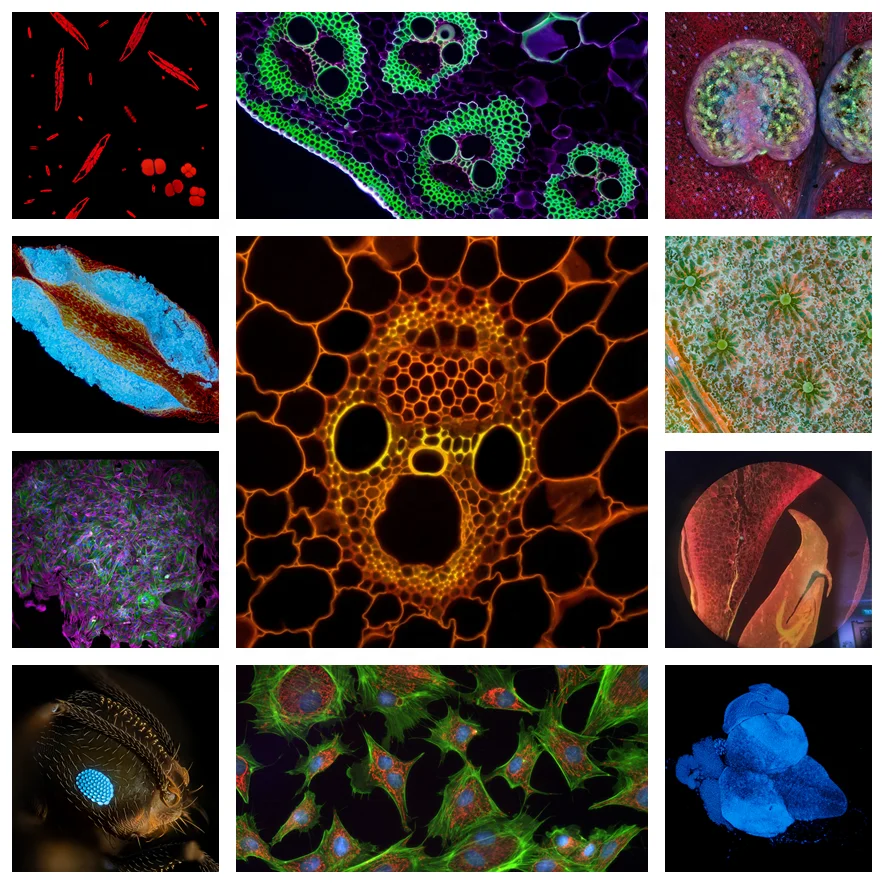 Shop Our Factory Stock Sale of Optical Filter Glass UV 365nm