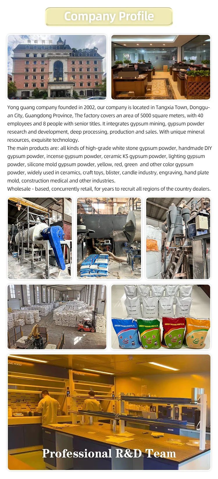 Color Craft Gypsum Powder Ultra Hard Ultra Fine Diy Process No Bubbles ...