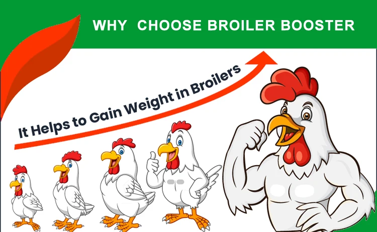 Broiler Chicken Fattening Booster - Promotes Growth & Health